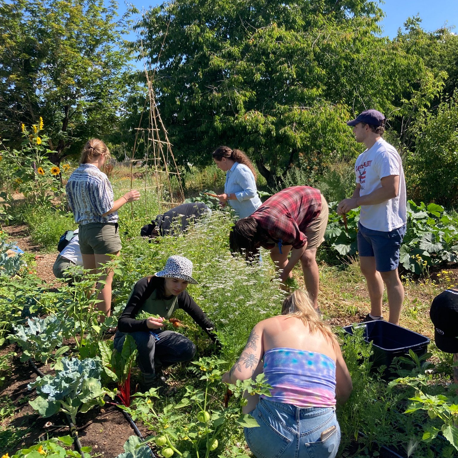 Learning Gardens Laboratory – cultivating a sustainable future through ...