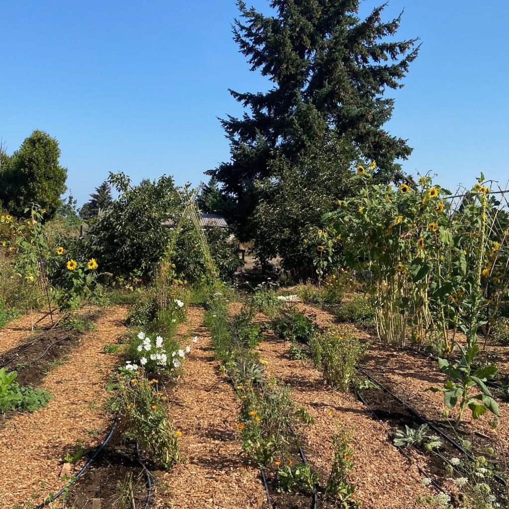 Learning Gardens Laboratory – cultivating a sustainable future through ...